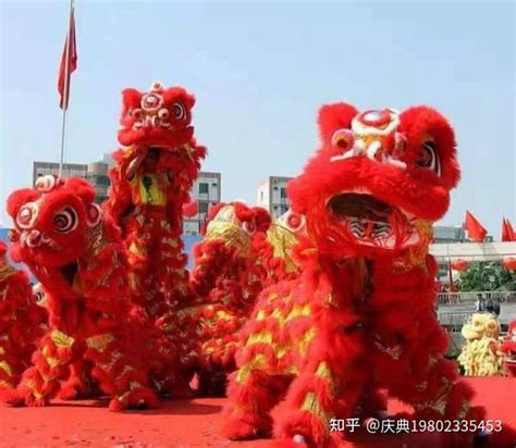 长沙开业舞狮15884917692舞狮舞龙主持人摄影小丑 知乎