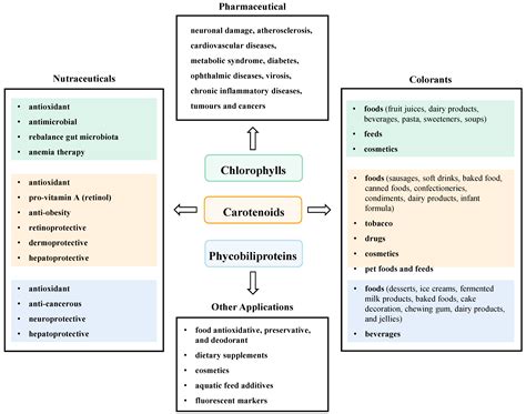 Marine Drugs Free Full Text Microalgae Derived Pigments For The