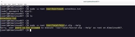 Run All Programs In A Directory Via Sudo In Linux Ostechnix