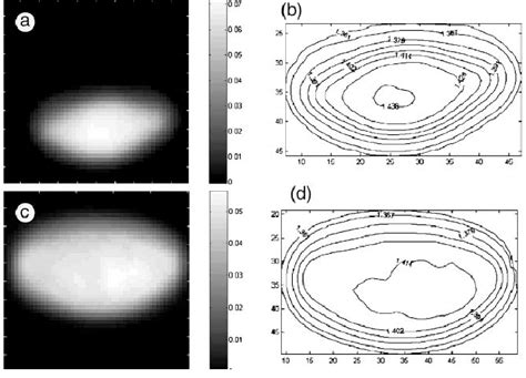 Transverse Relaxation Rate Images M S À1 Of A 29 Year Old Human Lens Download Scientific