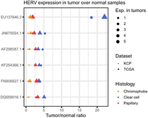 Deep Learning Based Prediction Of The T Cell Receptor Antigen Binding Specificity Pmc