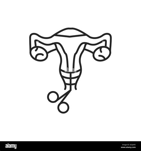 Biopsy Cut Out Stock Images And Pictures Alamy