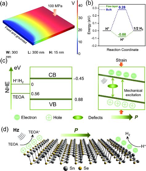 a fem simulation of the piezoelectric potential distribution of a