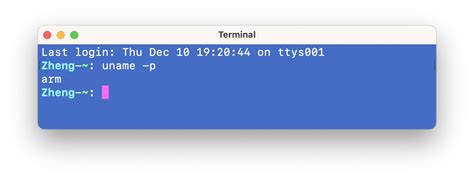 Bash Detect Apple Silicon From Command Line Stack Overflow