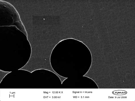 Wearparticles Instance Segmentation Dataset And Pre Trained Model By Rehablab