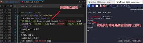kali linux入门及常用简单工具介绍 CSDN博客