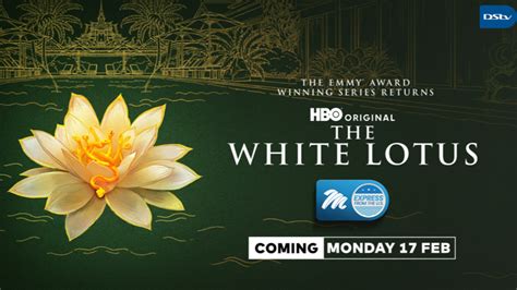 Sex Lies And Murder Collide In Season 3 Of The White Lotus