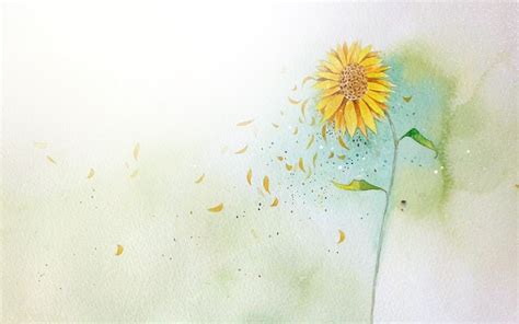 小刺猬1 的插画 向日葵 堆糖，美图壁纸兴趣社区
