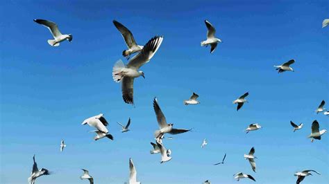 解锁高质量文献综述的构建密码：方法、步骤与要点全解析 茅茅虫论文写作