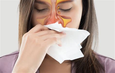 Sete métodos para prevenir e tratar a sinusite Sensorium