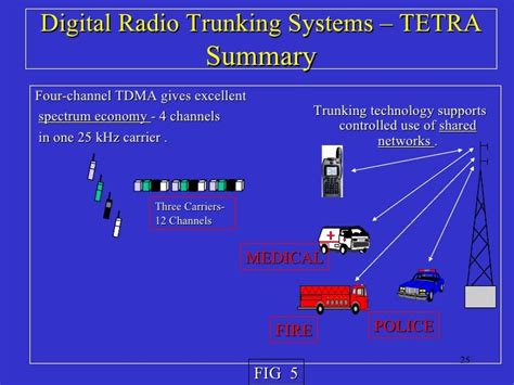 Tetra Ppt 6604 Edited Tetra Ppt 6604 Edited