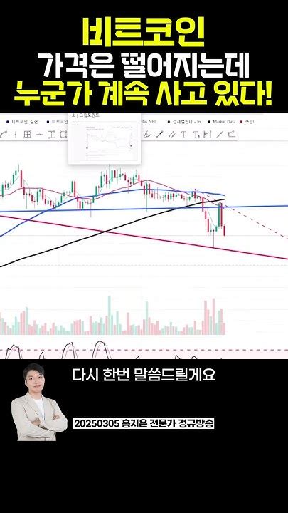 비트코인 가격은 떨어지는데 누군가 계속 사고 있다 홍지윤 전문가 Youtube