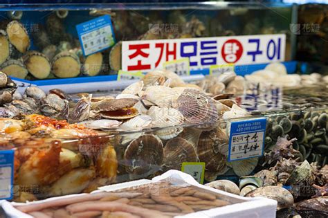 鱼市上的扇贝及其他贝壳