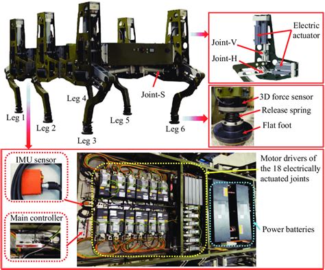 The Overall Structure Of The Large Size Hexapod Robot With Eighteen