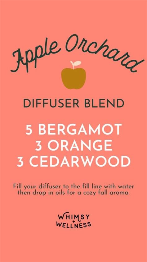Apple 🍎 Orchard Diffuser Blend Essential Oil Blends Essential Oil