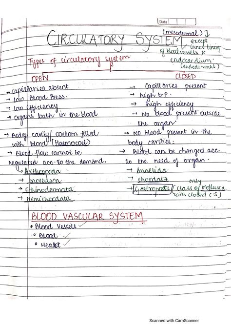 Solution Circulatory System Handwritten Notes Studypool