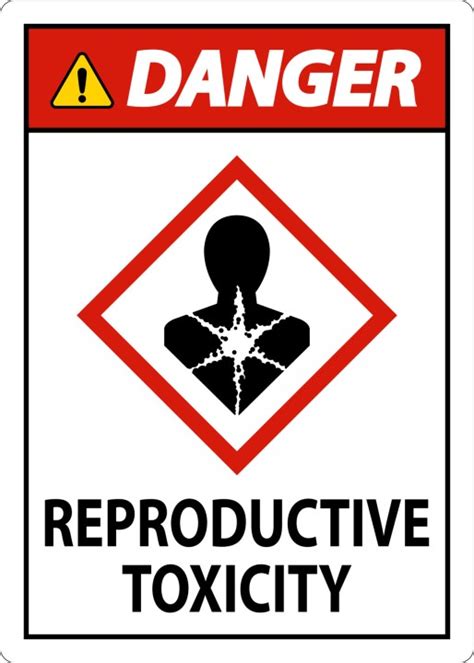 Reproductive Hazards At Work