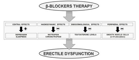β Blockers and Erectile Dysfunction in Heart Failure Between Myth and Reality PMC