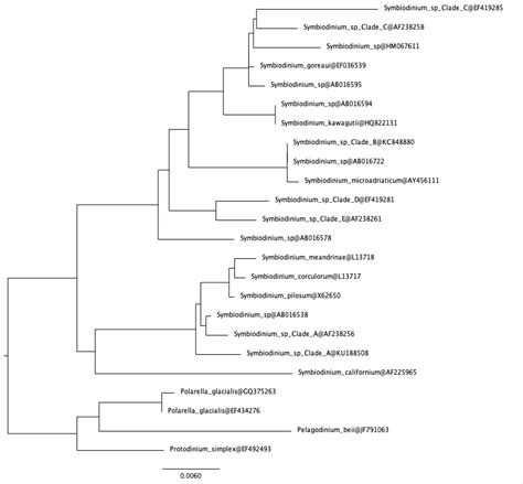 4 Investigating Taxa Of Interest Environmental Diversity Of Microbial Eukaryotes