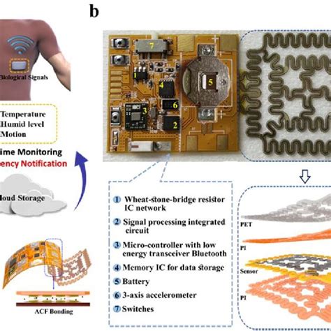 A Schematic Concept Of The Proposed Patch Based Biomedical Device