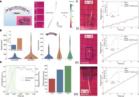 Biohybrid Soft Robots With Self Stimulating Skeletons Science Robotics