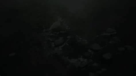 回春丹乐队鲜花live伴奏官方立体声hi Res超清高清1080p在线观看平台腾讯视频