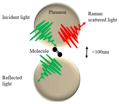 Plasmonic Effects Electric Field Around Two Nanoparticles And The Download Scientific Diagram