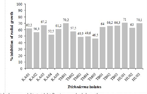 Figure 3 From An Assay On Potential Of Local Trichoderma Spp To Control White Root Rot Disease