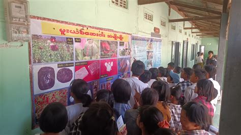 တောင်ငူမြို့နယ် ခပေါင်းတိန်ကျေးရွာ၌ အသိပညာပေး ဟောပြောပွဲကျင်းပ Information And Public