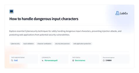 Обработка опасных символов ввода защита веб приложений Labex