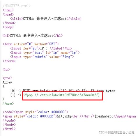 ctf之旅（ctfhub技能树 详细write up 持续更新ing （rce） ctfhub writeup 管理后台 csdn博客