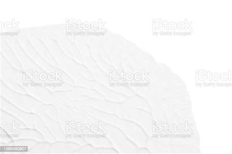 로르샤흐 잉크블롯 방법을 사용하여 흰색 종이 배경에 파란색 보라색 빨간색 노란색 추상 아크릴 페인팅 색상 텍스처 0명에 대한 스톡 사진 및 기타 이미지 Istock