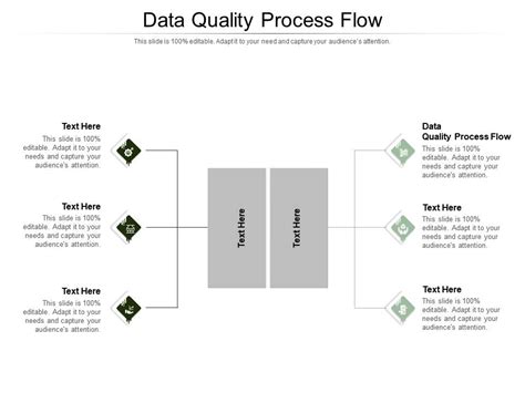 Data Quality Process Flow Ppt Powerpoint Presentation Portfolio Clipart