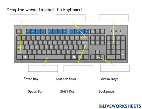 Cbse Class 1 Computer Science The Keyboard Worksheet