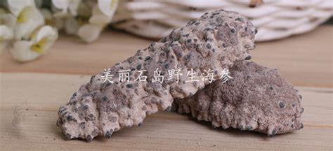 关于海参你知道哪些 哔哩哔哩