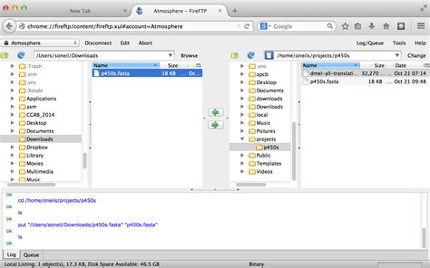 Installing Bioinformatics Software A Primer For Computational Biology