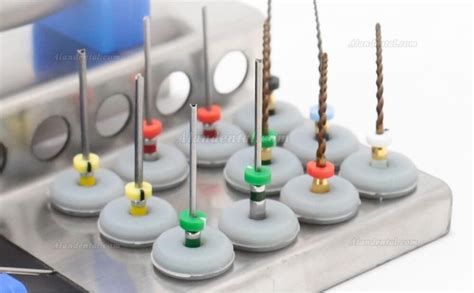 Buy Cheap Tosi Dental Endo Broken File Removal Kit Endo File Retrieval