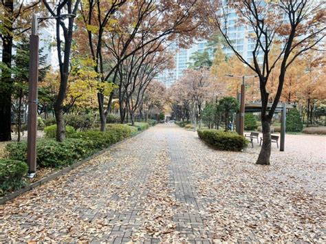 영어 스터디 네이버 블로그