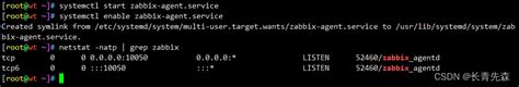 Linux系统下部署 Zabbix Agent 客户端安装配置 详细图文教程linux安装zabbix Agent Csdn博客