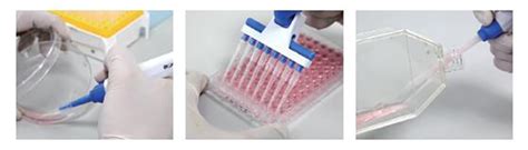 Laboratory Aspirator Manufacturer Supplier ANTITECK