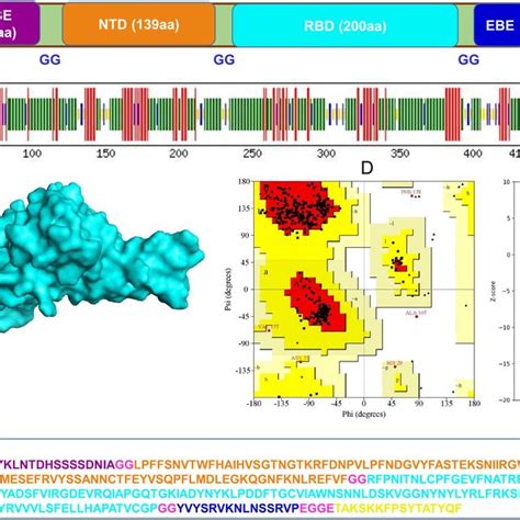Design Construction And Structural Validation Of Multi Epitope Vaccine Download Scientific