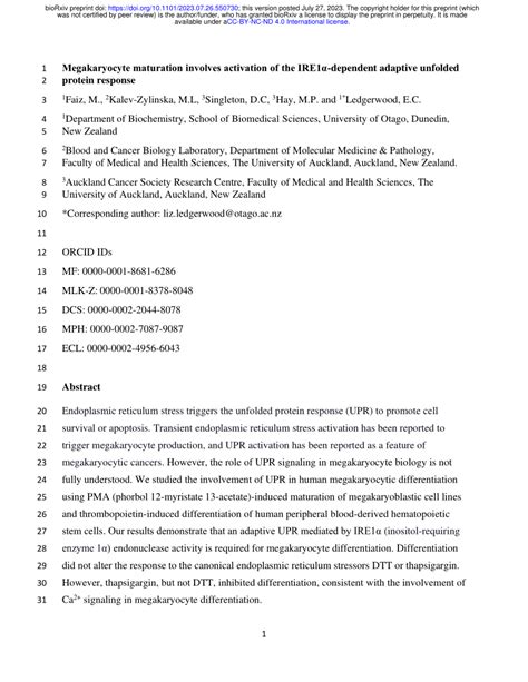 Pdf Megakaryocyte Maturation Involves Activation Of The Ire1α