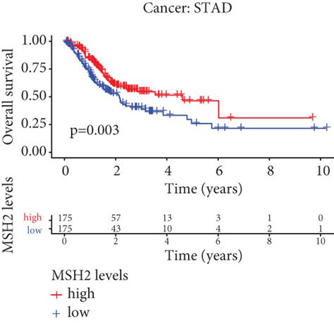 Kaplan Meier Os Curves Of Msh2 Expression In The Ten Most Significantly Download Scientific