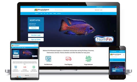 Wpweb Infotech Reviews View Portfolios Designrush