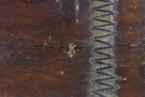 Proantic A Dayak Shield