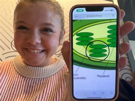 Cell Unit Study Guide Flashcards Quizlet