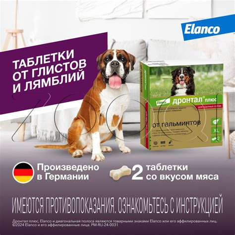 Дронтал Плюс XL Антигельминтик для собак, 2 таб купить в Минске, цены