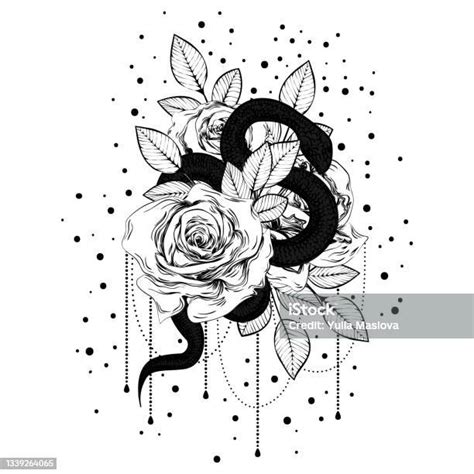 장미와 뱀의 꽃다발 식물 라인 아트 일러스트레이션 고딕 빈티지 문신 0명에 대한 스톡 벡터 아트 및 기타 이미지 0명 검은색 꽃 식물 Istock