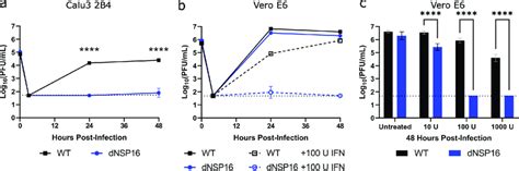 Dnsp16 Is Attenuated In Human Respiratory Cells And Is More Sensitive Download Scientific