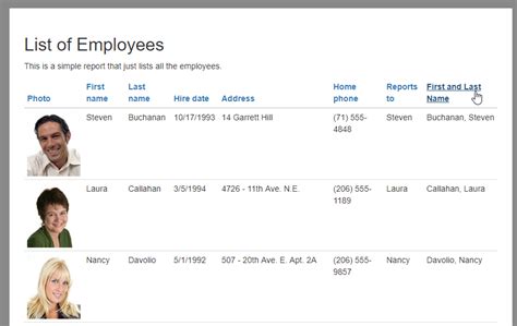 Creating And Using Custom Fields Dotnet Report Embedded Self Service BI Reporting NET